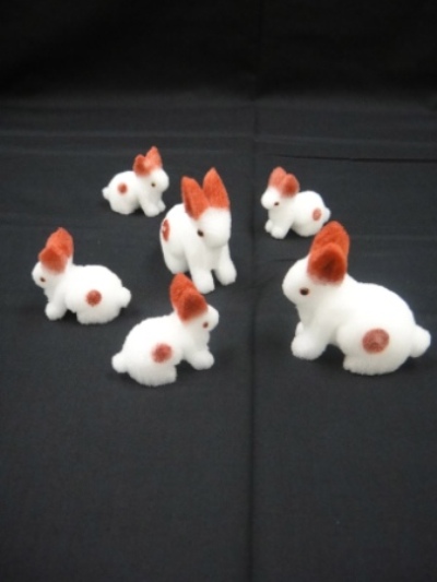 Shop – Hocus Pocus