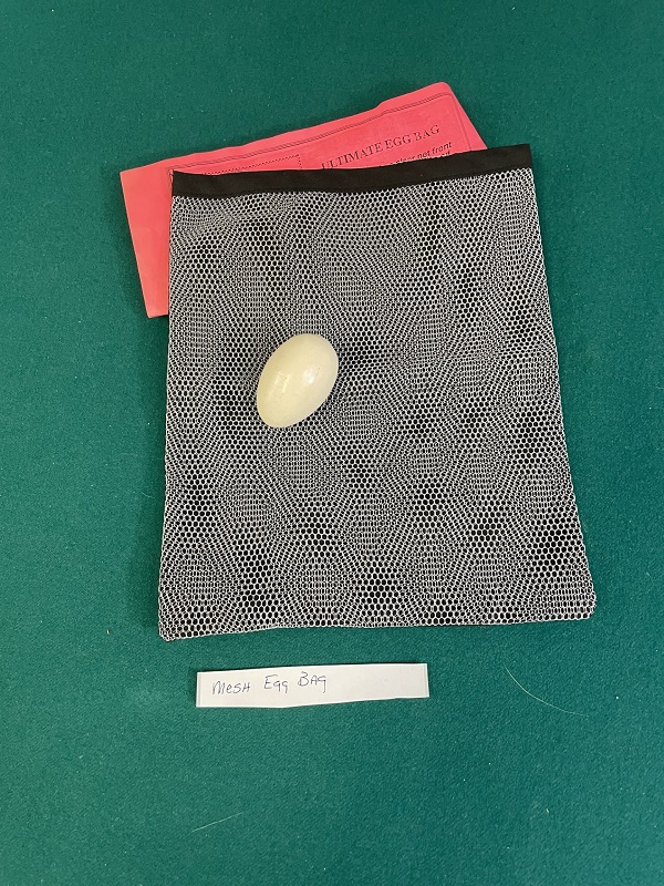 Mesh Egg Bag – Gently Used – PH25 – Hocus Pocus